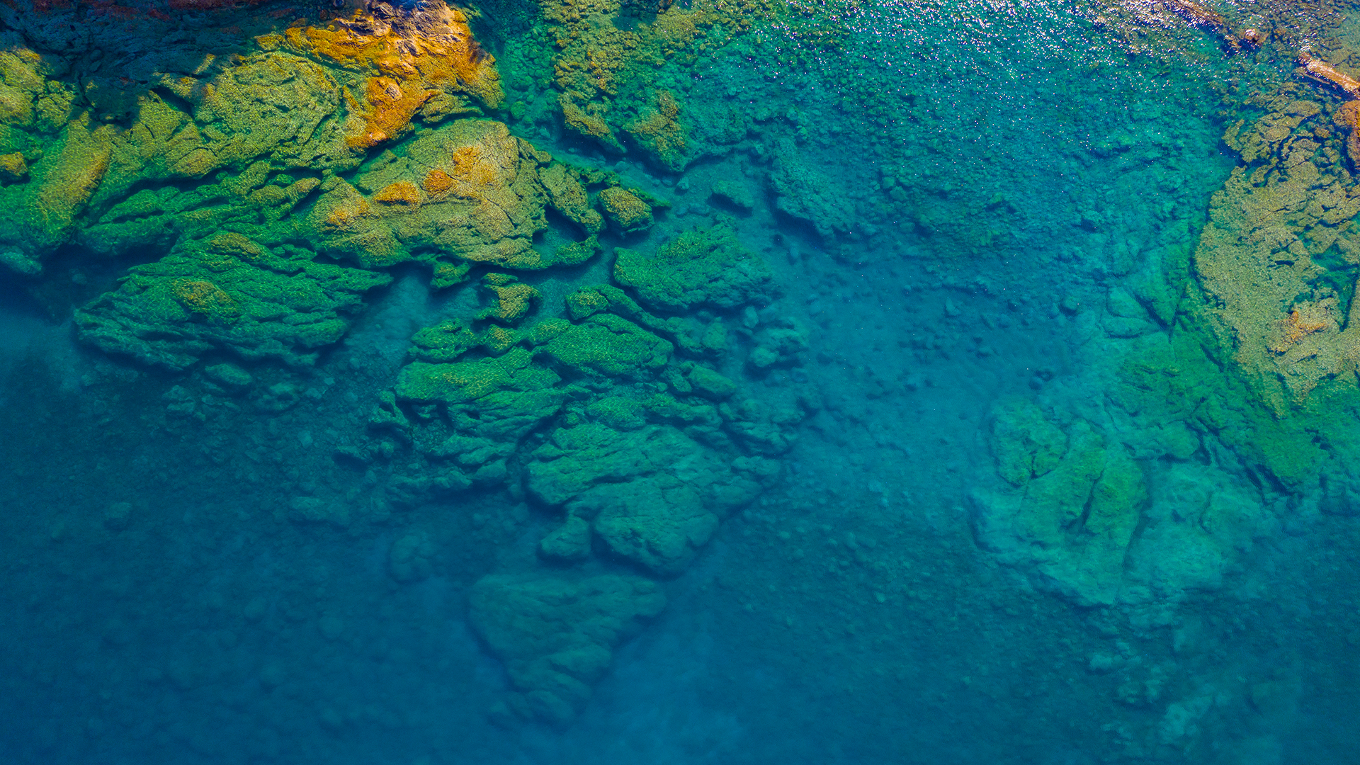 Crack the Code: Turkish Museums Crossword Puzzle I Turkish Museums